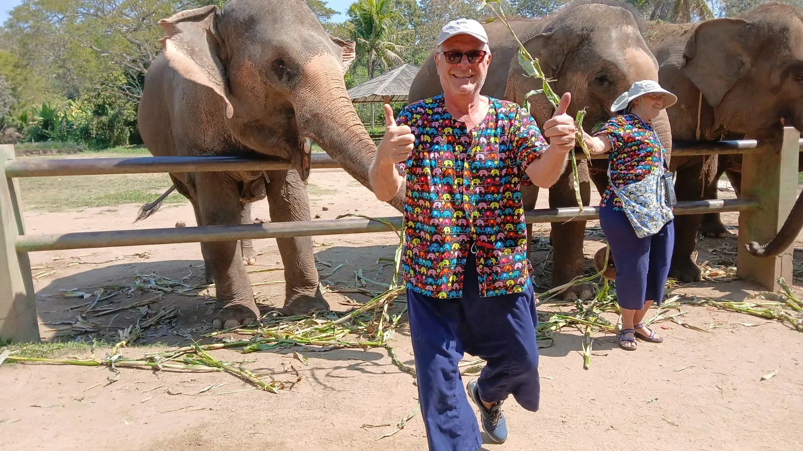 Top 30 Places to Visit in Vietnam: North to South Travel Guide